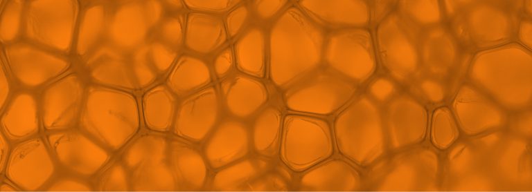 Advancing Biology Research | KBase