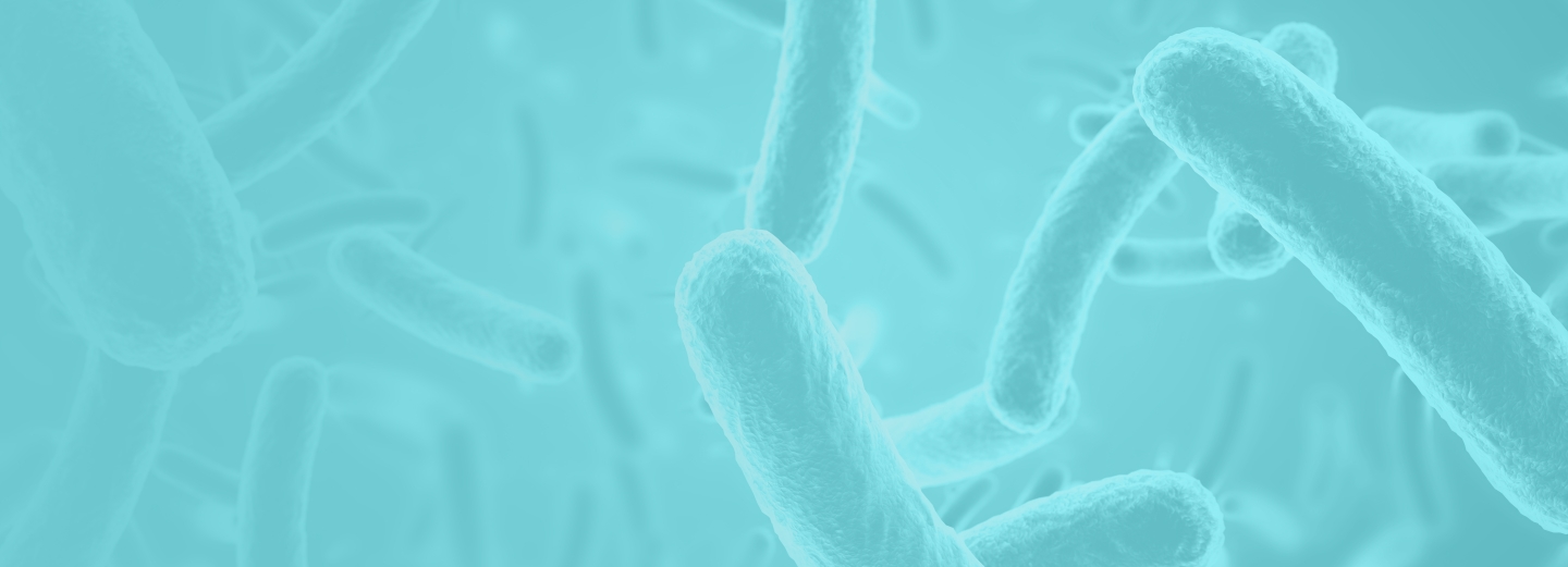 KBase Educators - KBase