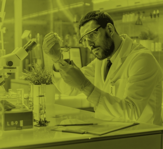 The Department of Energy Systems Biology Knowledgebase | KBase