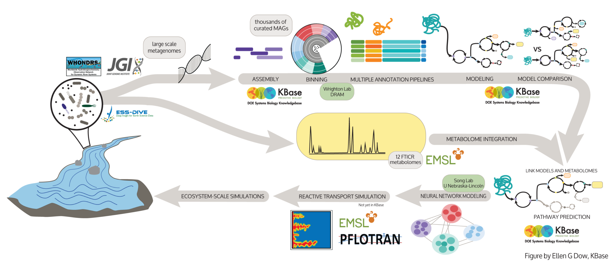 Multiscale Microbial Dynamics Modeling - KBase